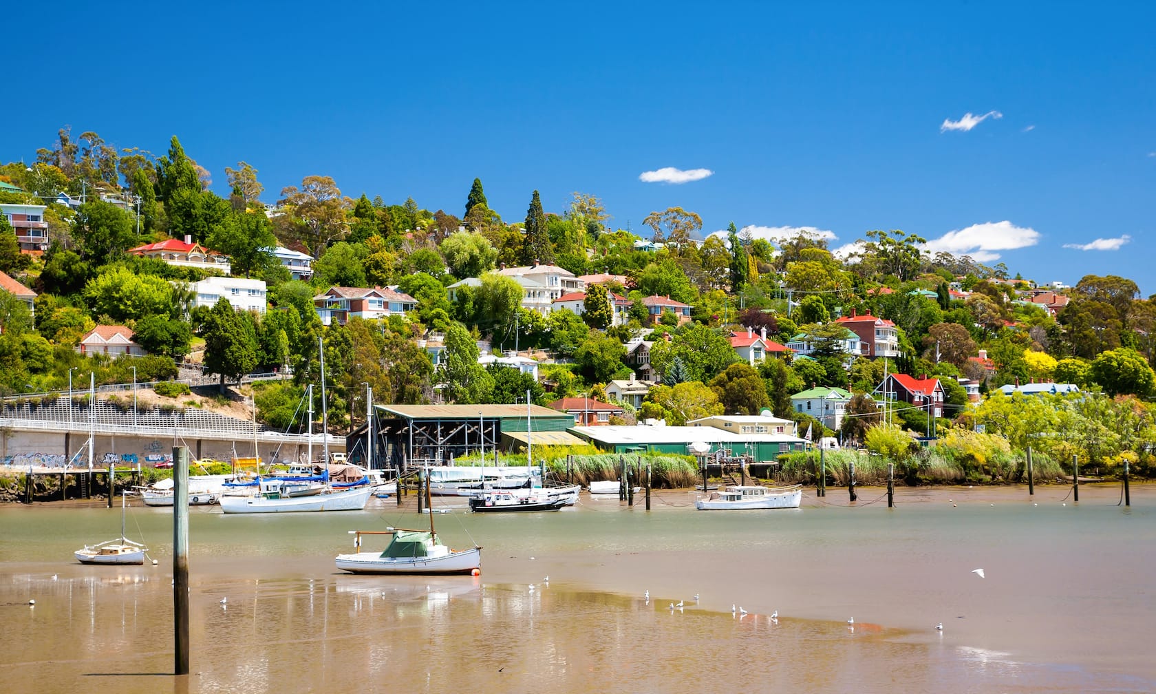 Queen Victoria Museum & Art Gallery, Invermay : logements dans le coin ...