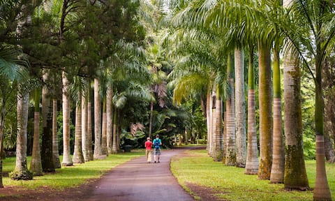 Pereybere Beach: alloggi vicini per il tuo soggiorno (Grand Baie ...