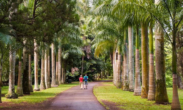 Mauritius Villa holiday rentals| Airbnb