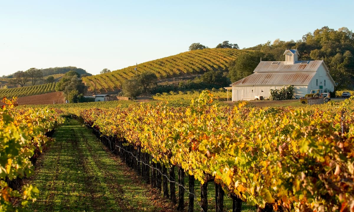 Santa Rosa, CA Vacation Rentals - Airbnb