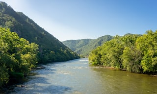 Landrum、Campbell's Covered Bridge周辺の宿泊先 - Landrum, サウスカロライナ州 | Airbnb