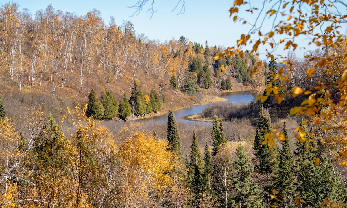 Pierz, MN Furnished Monthly Rentals and Extended Stays | Airbnb