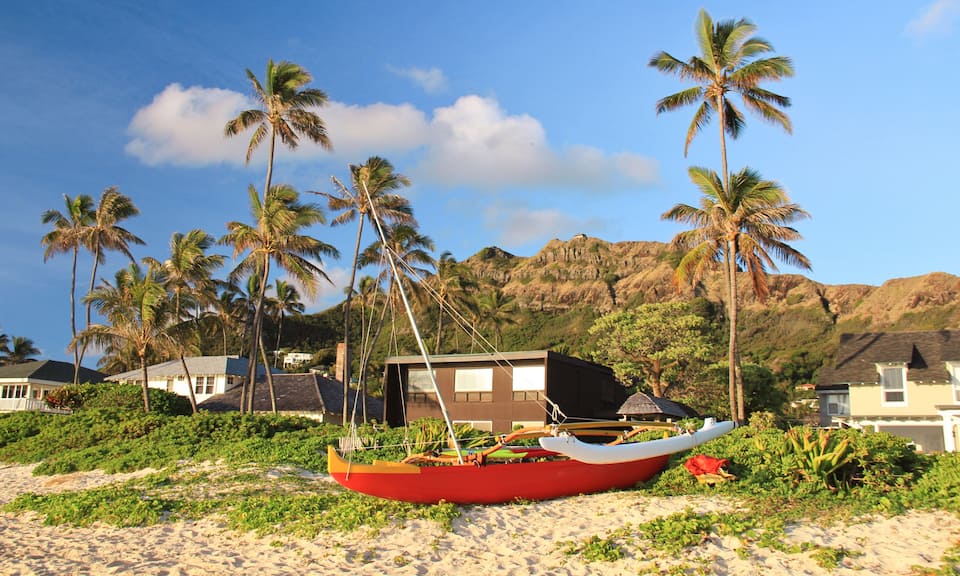 Tropical Farms Macadamia Nut, Kaneohe, Hawái Vacation Rentals - Airbnb