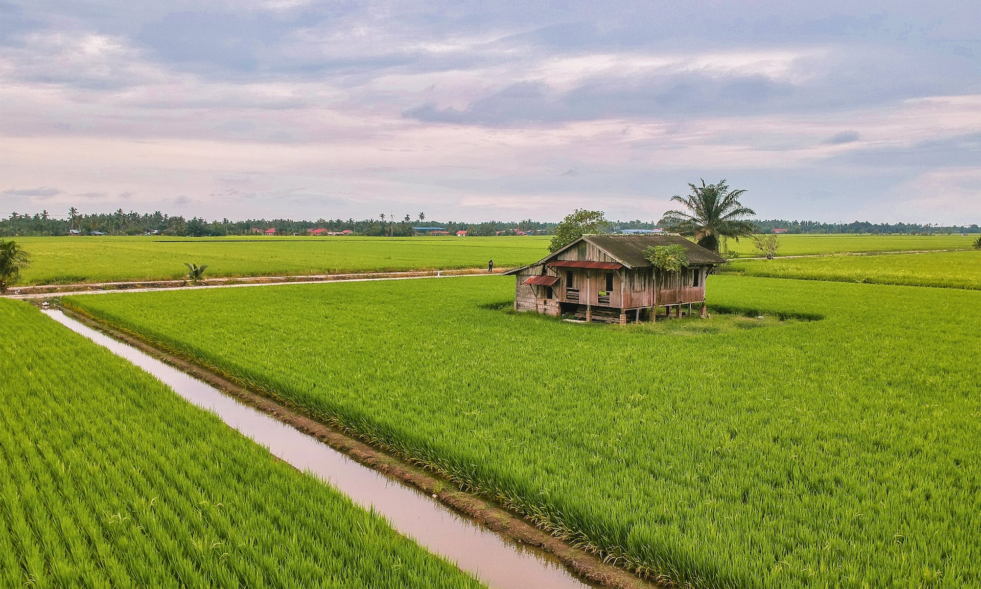 Alojamientos en renta con alberca cerca de i-City Theme Park - I-city ...