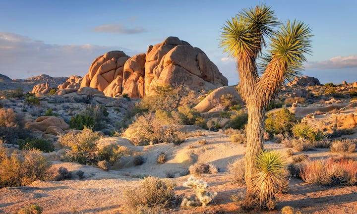 SilverRock Resort, La Quinta, Kalifornien Vacation Rentals - Airbnb