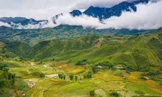 Ponce、Museo Castillo Serralles周辺の宿泊先 - Portugués Urbano, Ponce, プエルトリコ ...