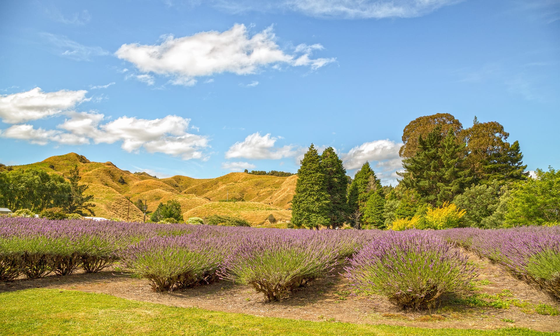 Places to stay near Taupo DeBretts Spa Resort in Taupō Canada- Taupo ...