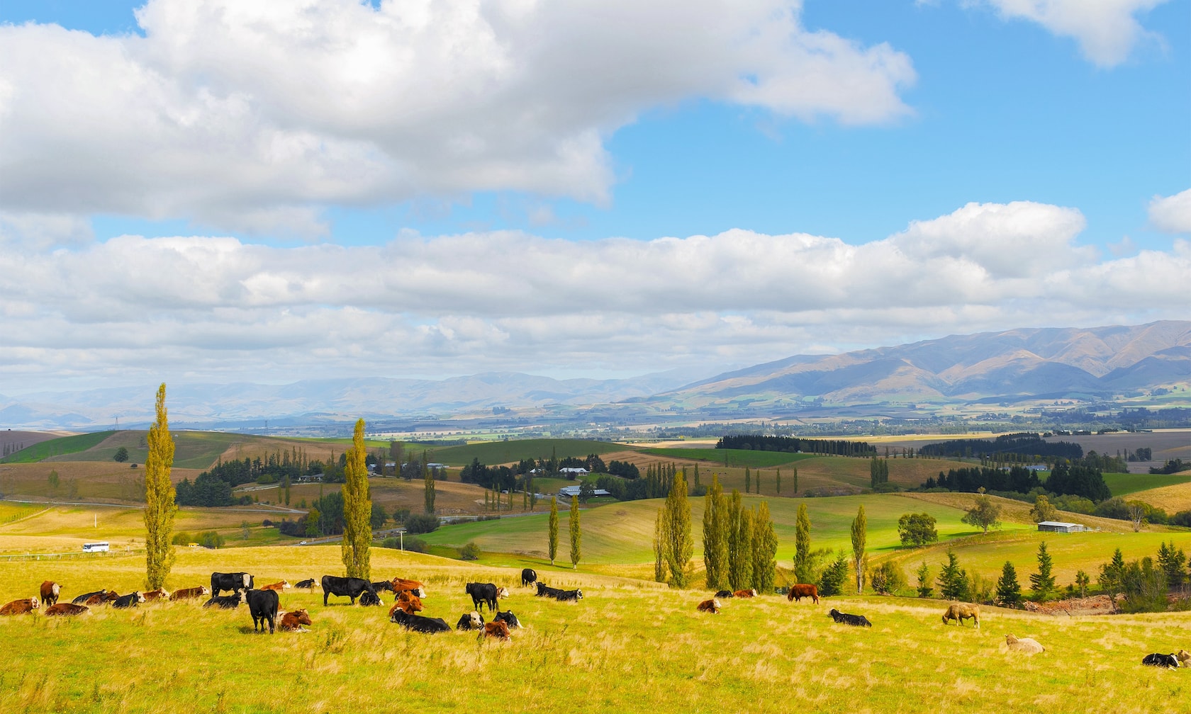 Timaru, New Zealand Holiday Rentals – Airbnb