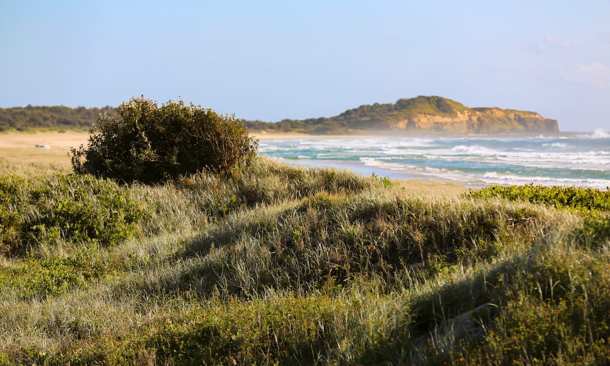 Forster Beach, Australia Vacation Rentals - Airbnb