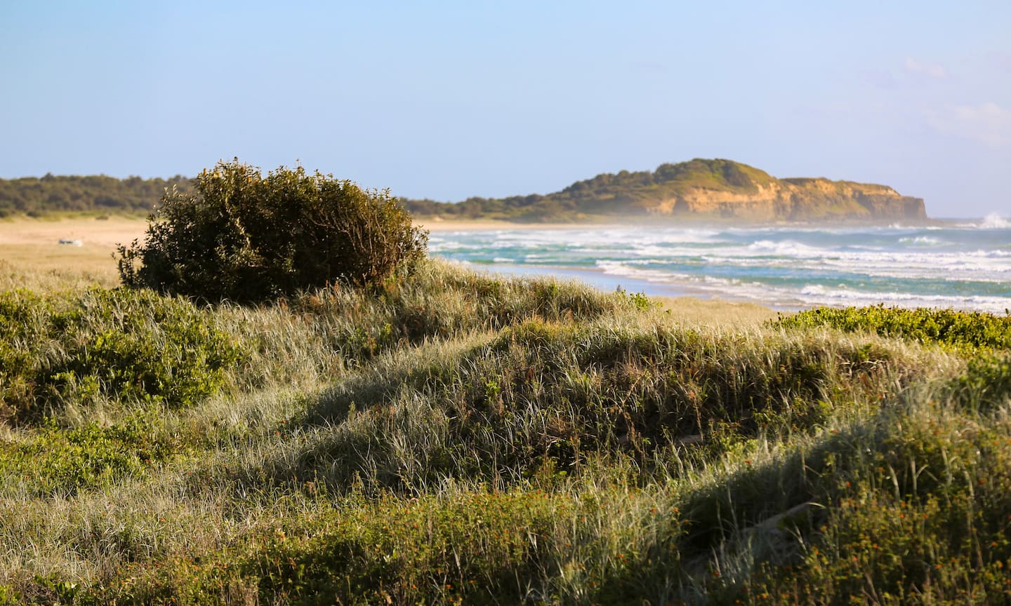 Boambee, Australia Vacation Rentals - Airbnb