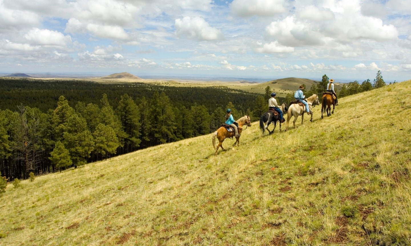 Places To stay near Stinson Lake in Rumney (5 out of 5) - Rumney, NH ...