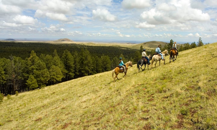 Places To stay near Stinson Lake in Rumney (5 out of 5) - Rumney, NH ...