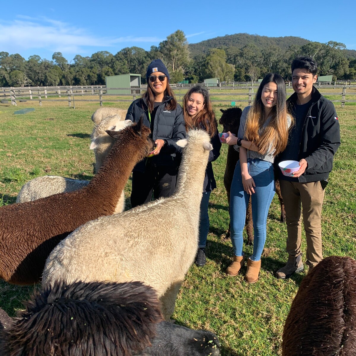 Brunch with alpacas · ★4.98