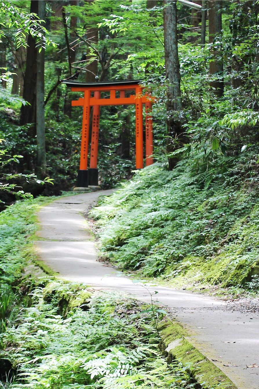 Hike to Fushimi Inari along hidden scenic trails · ★4.91