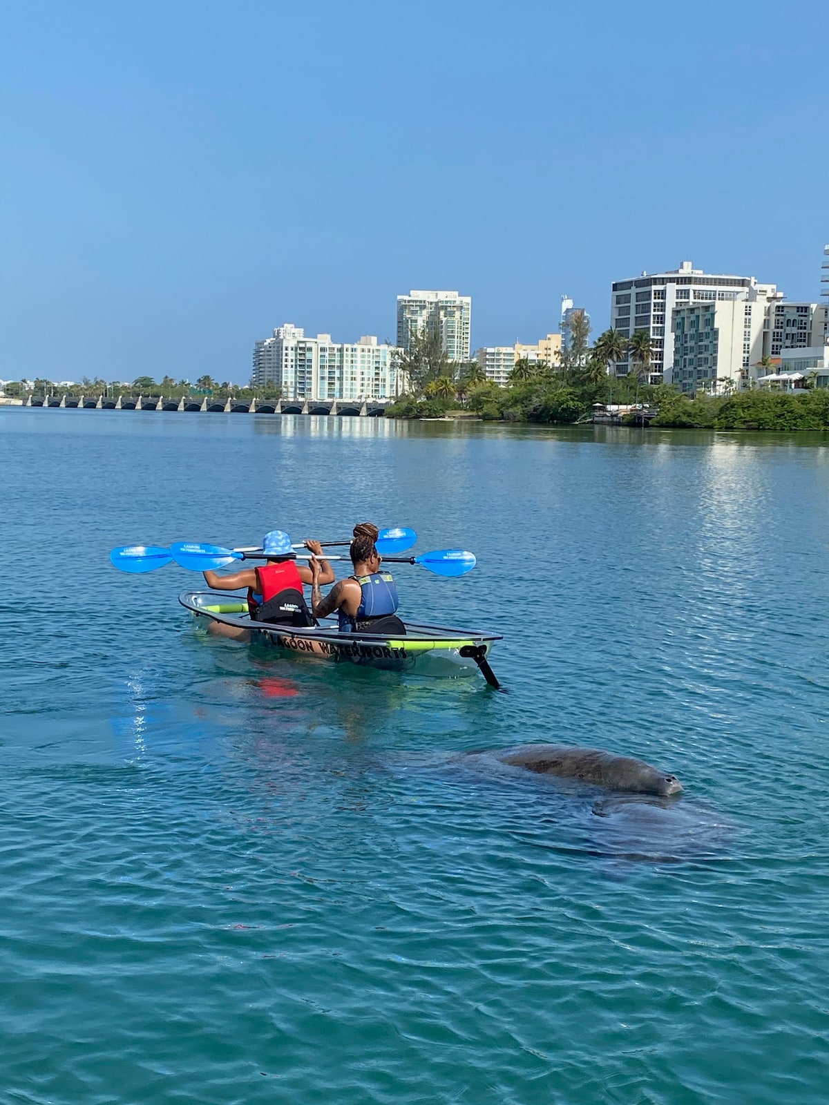 Paddle Clear Kayaks in Condado Lagoon · ★4.88