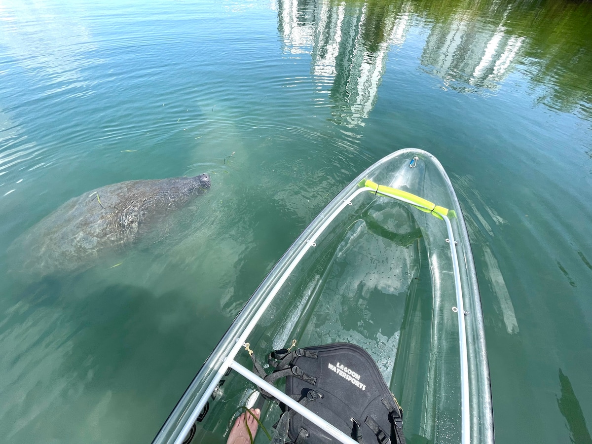 Paddle Clear Kayaks in Condado Lagoon · ★4.88