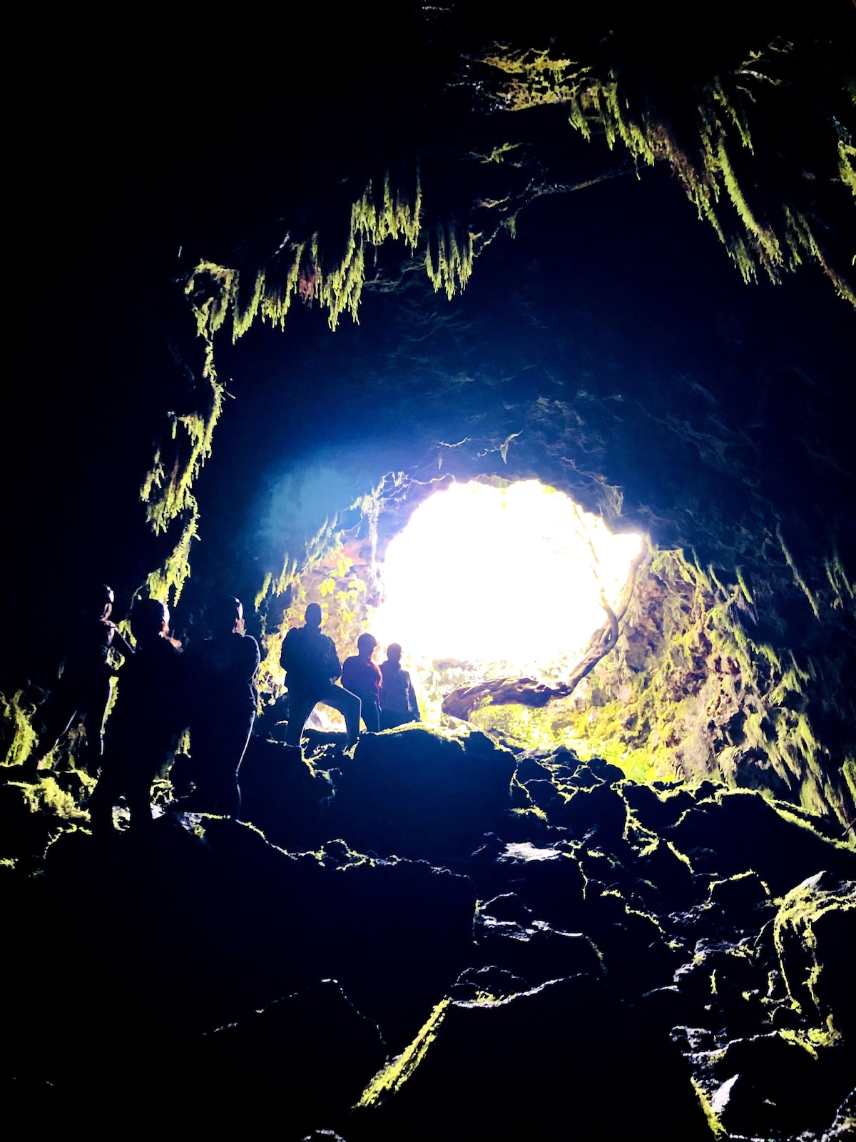 Hike to the Xitle Volcano summit · ★5.0