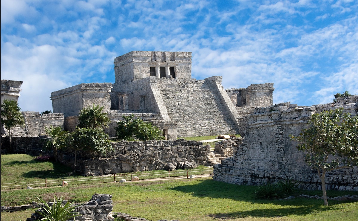 Tulum, Snorkel Mayan Reef, Turtles & Cenote · ★4.96