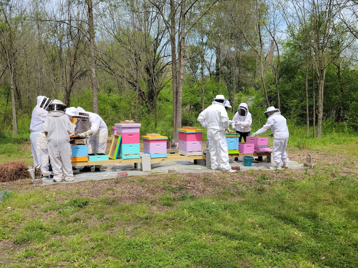 Learn beekeeping with experienced keepers · ★4.99