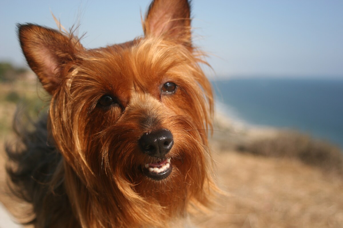 Timeless and heartfelt studio photographs by Julie
