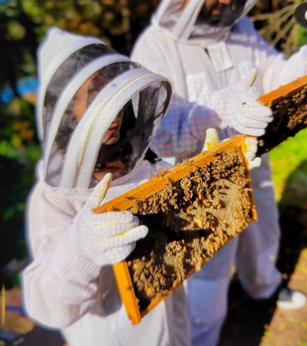 A Day in the Hive · ★5.0