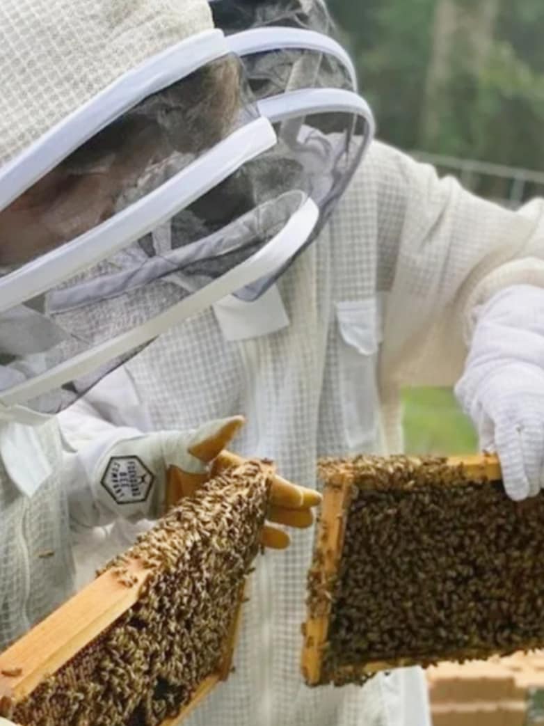 A Day in the Hive · ★5.0