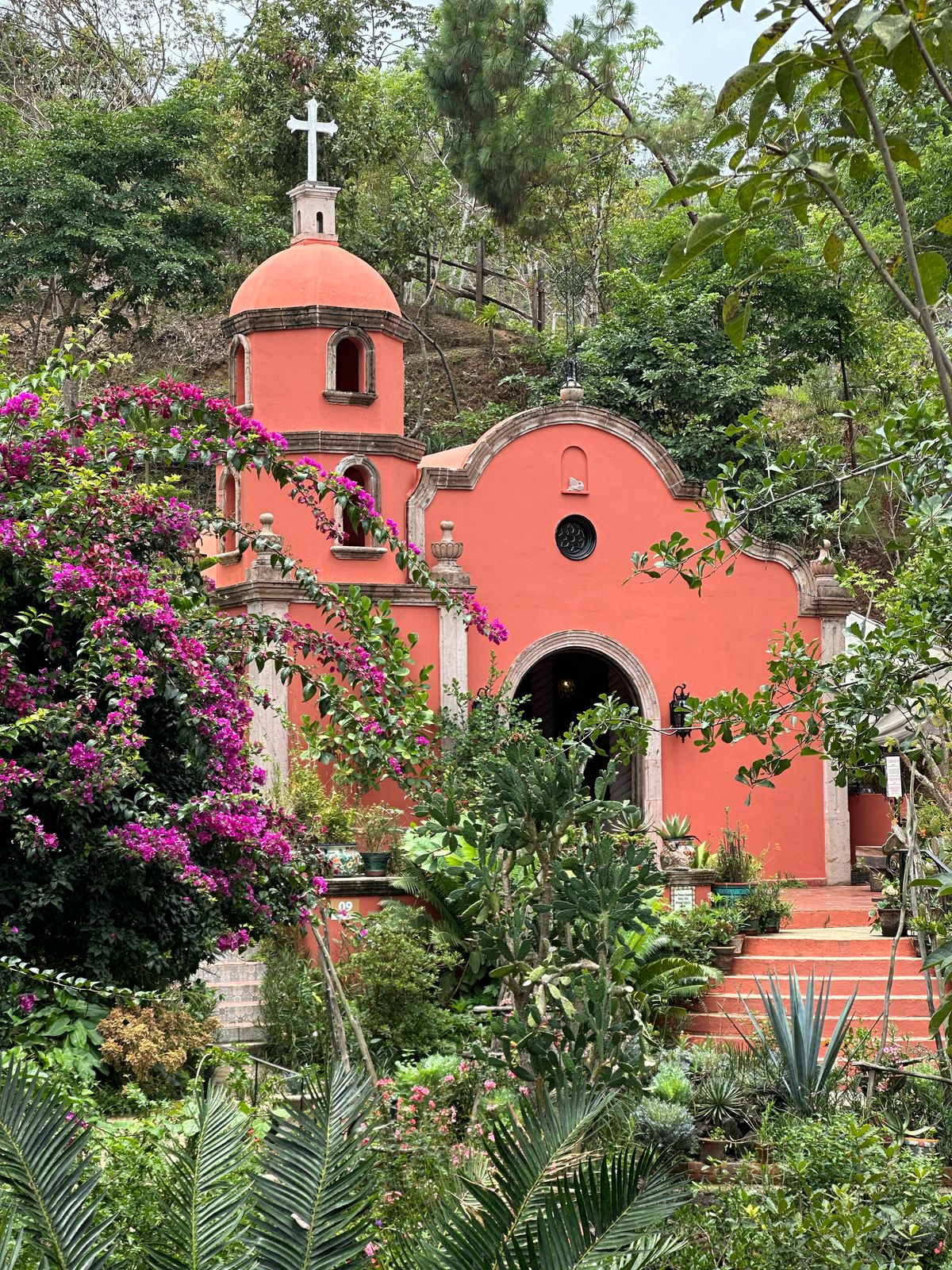 Tour botanical gardens with a university biologist