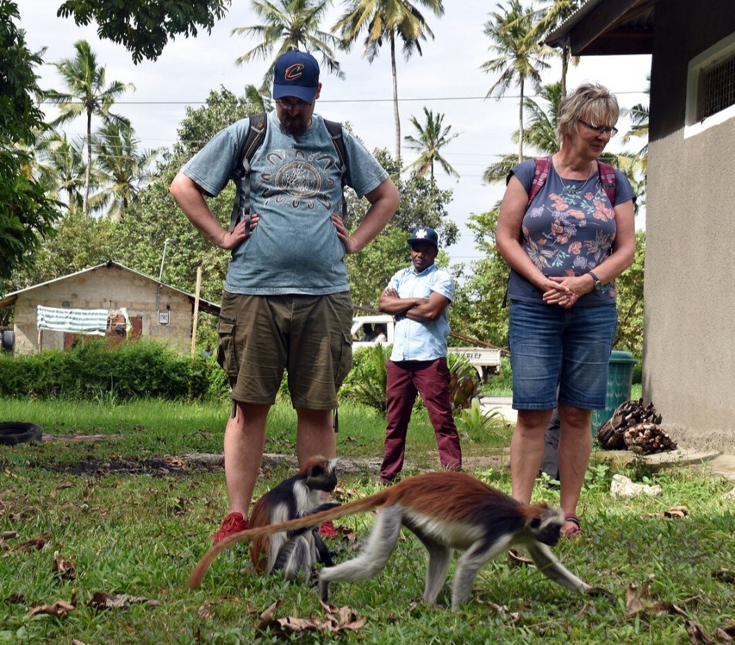 Spot rare monkeys in Jozani Forest with experts.