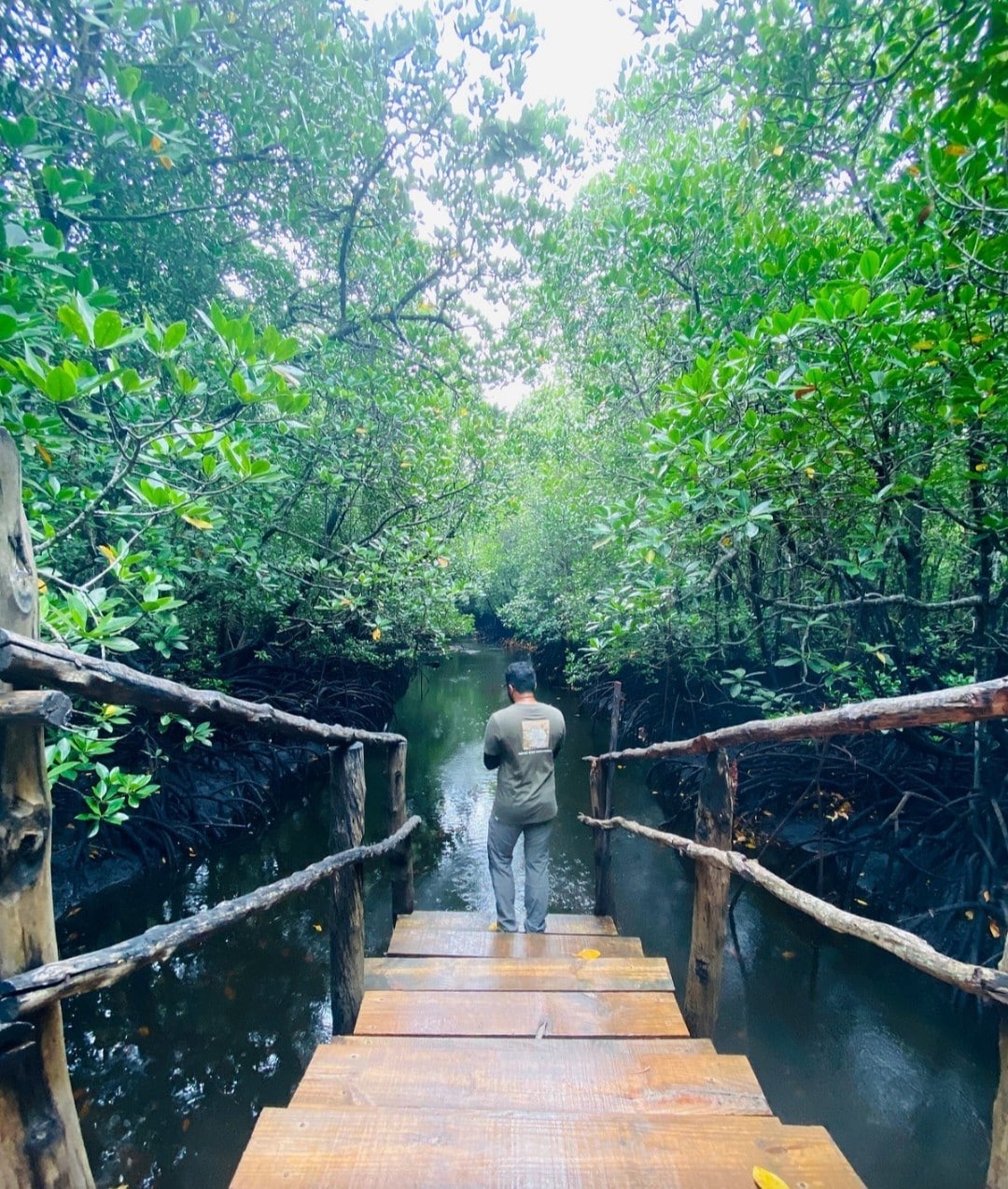 Spot rare monkeys in Jozani Forest with experts.