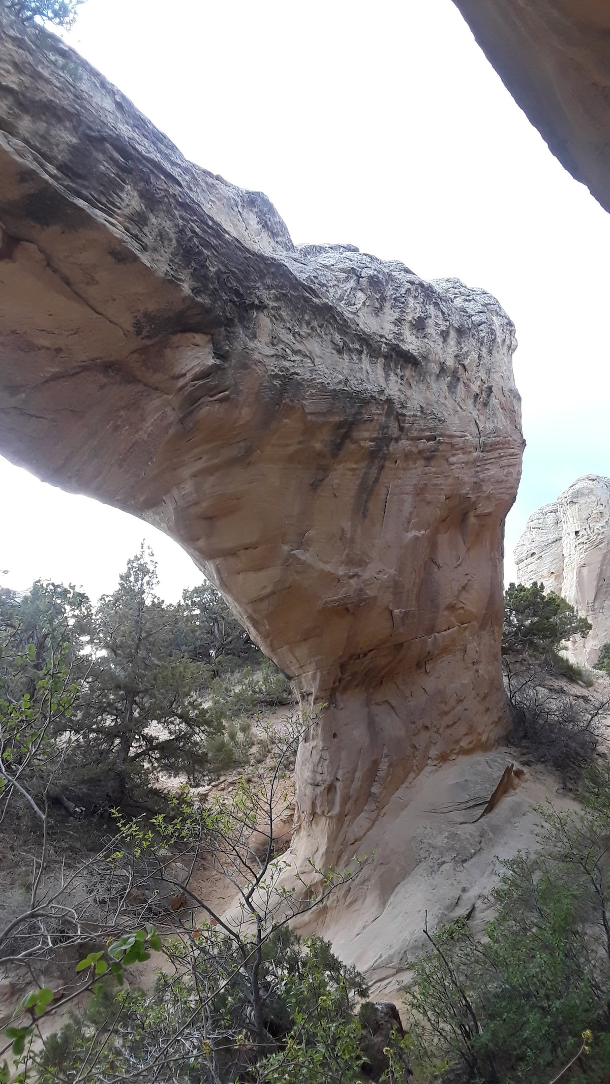 Jeeping adventures in Vernal Utah