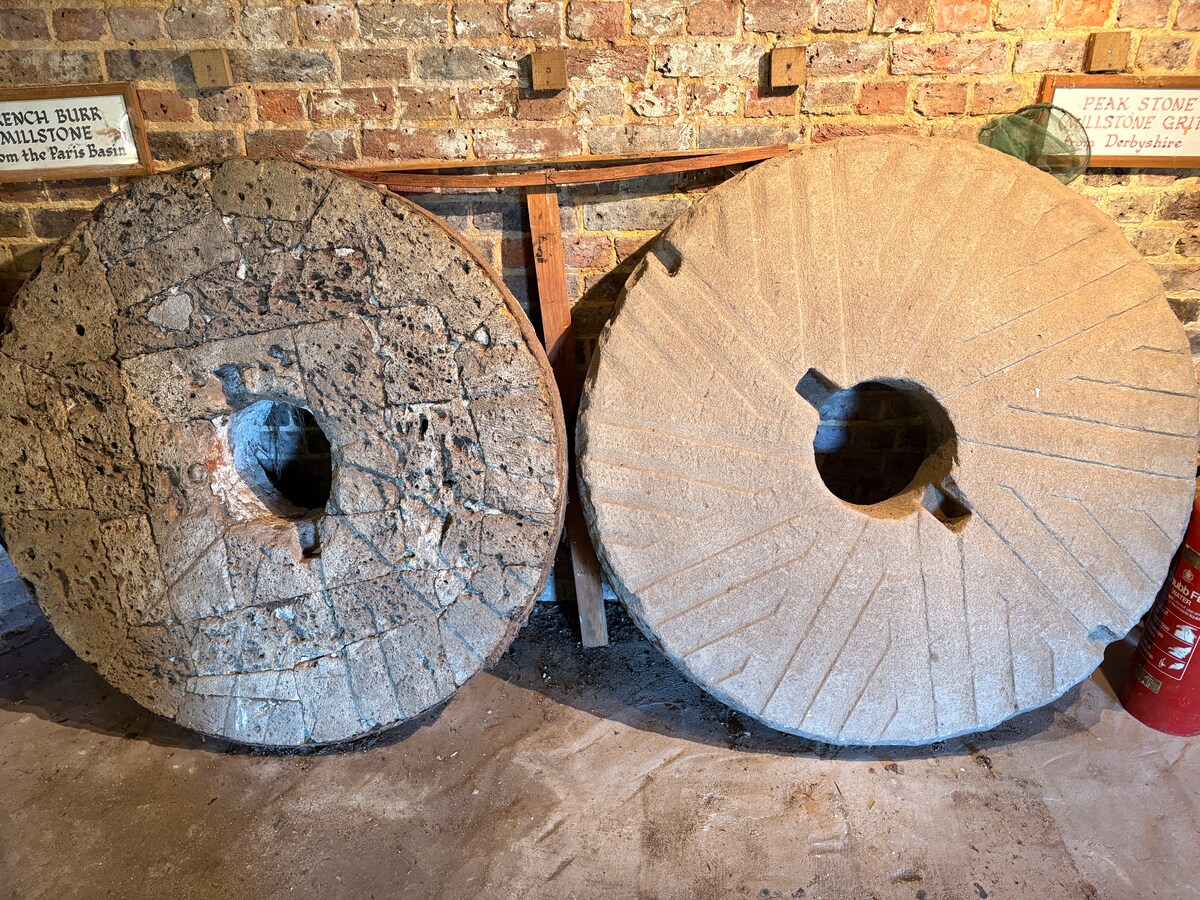 Explore historic windmill in Knepp Rewilding