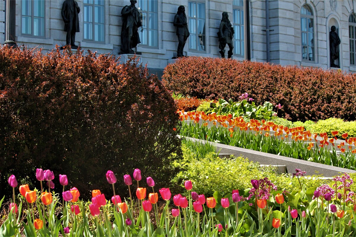 Discover Cap-Rouge on foot, with a tasting