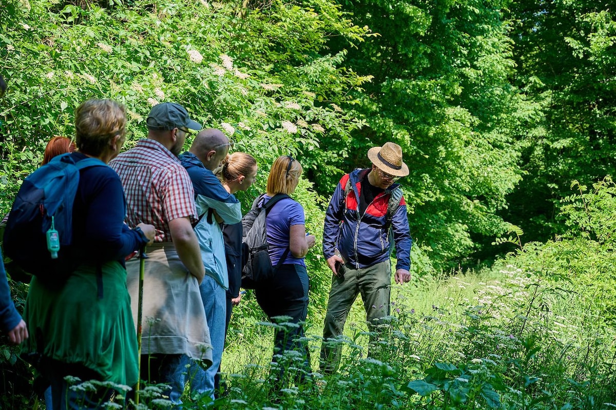 Green Scene Investigation: A Day in Zagorje Garden