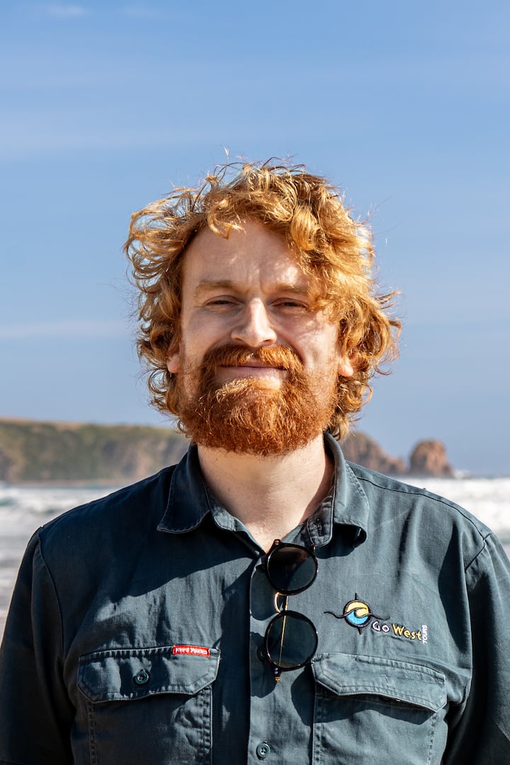 Explore a vida selvagem e veja o desfile de pinguins