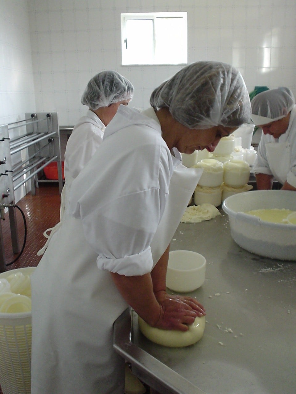 Experience making cheese from milk in the Douro