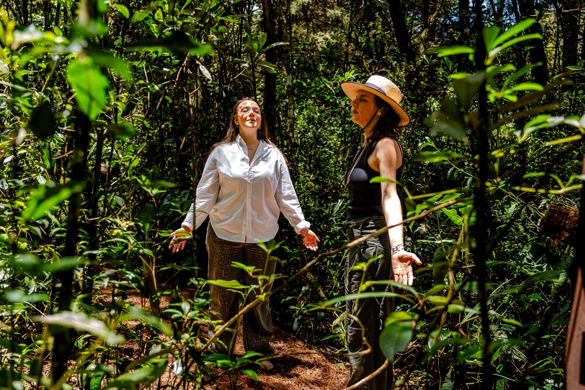 Connect with native plants through forest bathing
