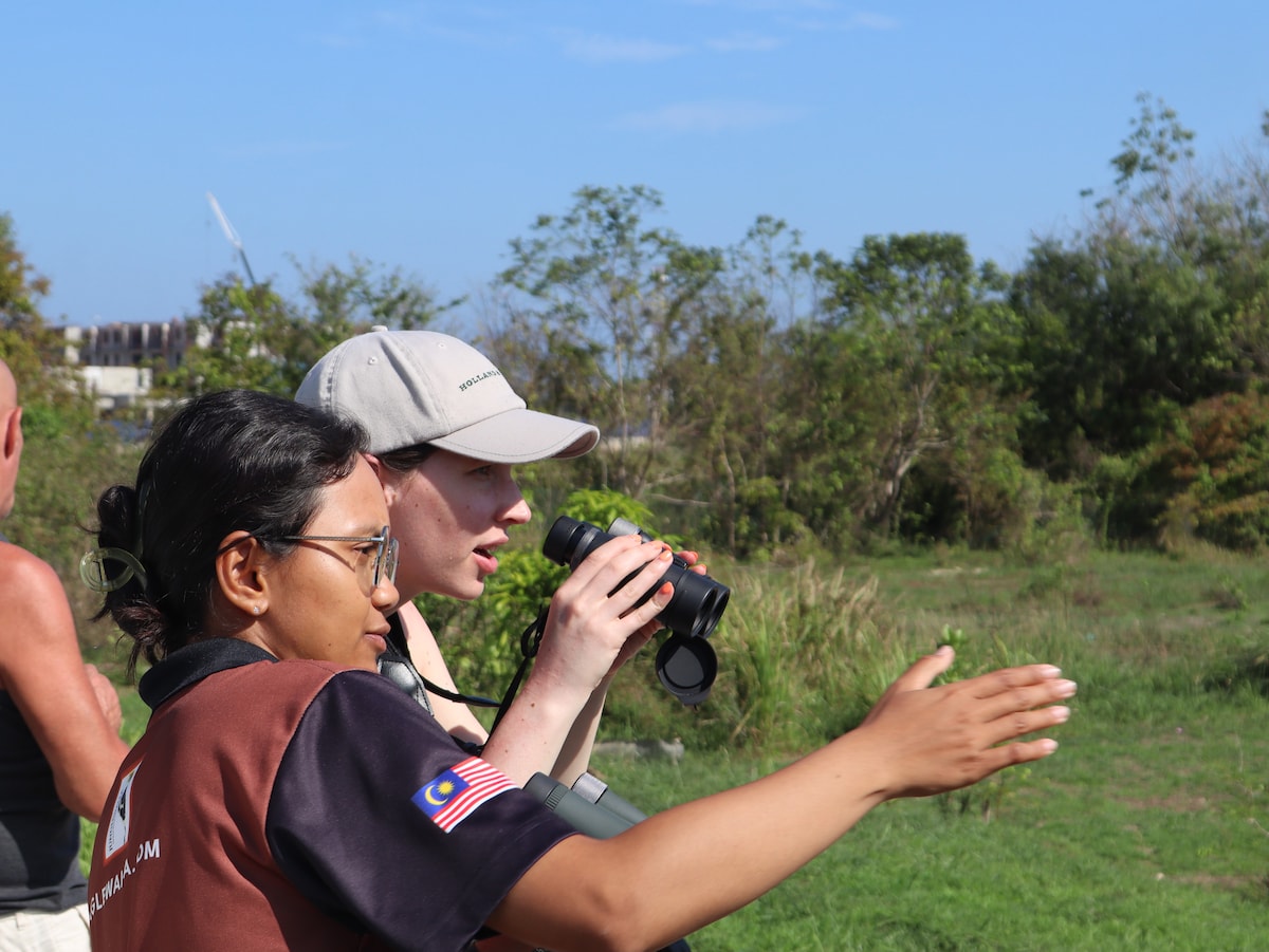 Spot rare birds in the rainforest and mangroves
