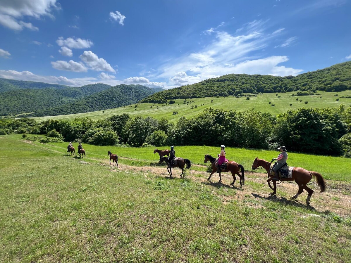 1-Hour Horseback Ride in Asureti Countryside