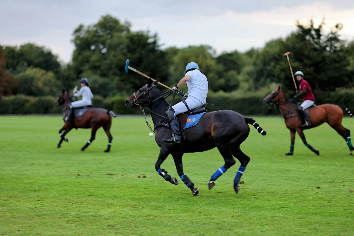 Onliskcarew : le monde à travers mon objectif