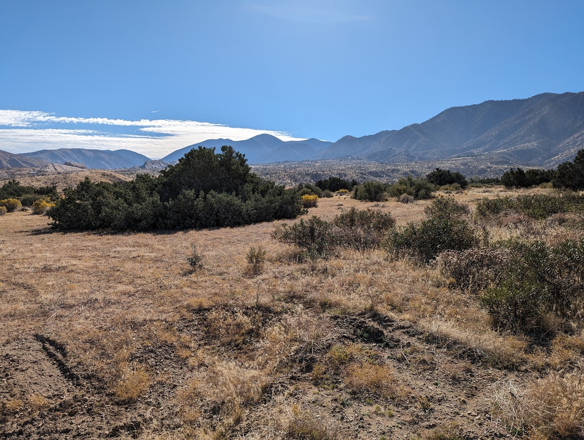 Visita a Juniper Ranch con degustación de ginebra