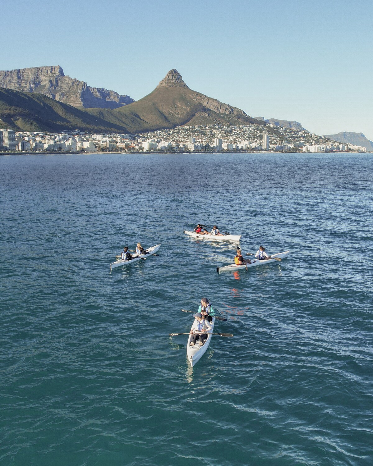Kayak with dolphins in Cape Town