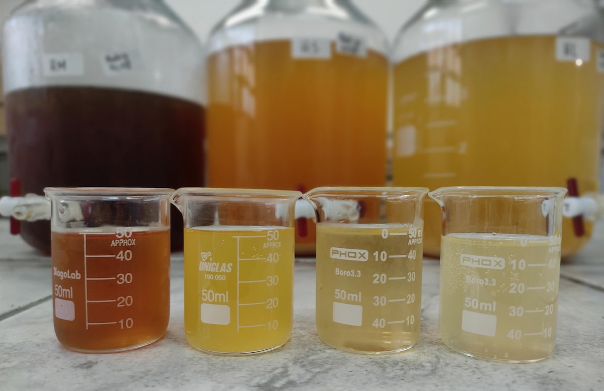 Mead Artisanal Production Course - Honey Wine