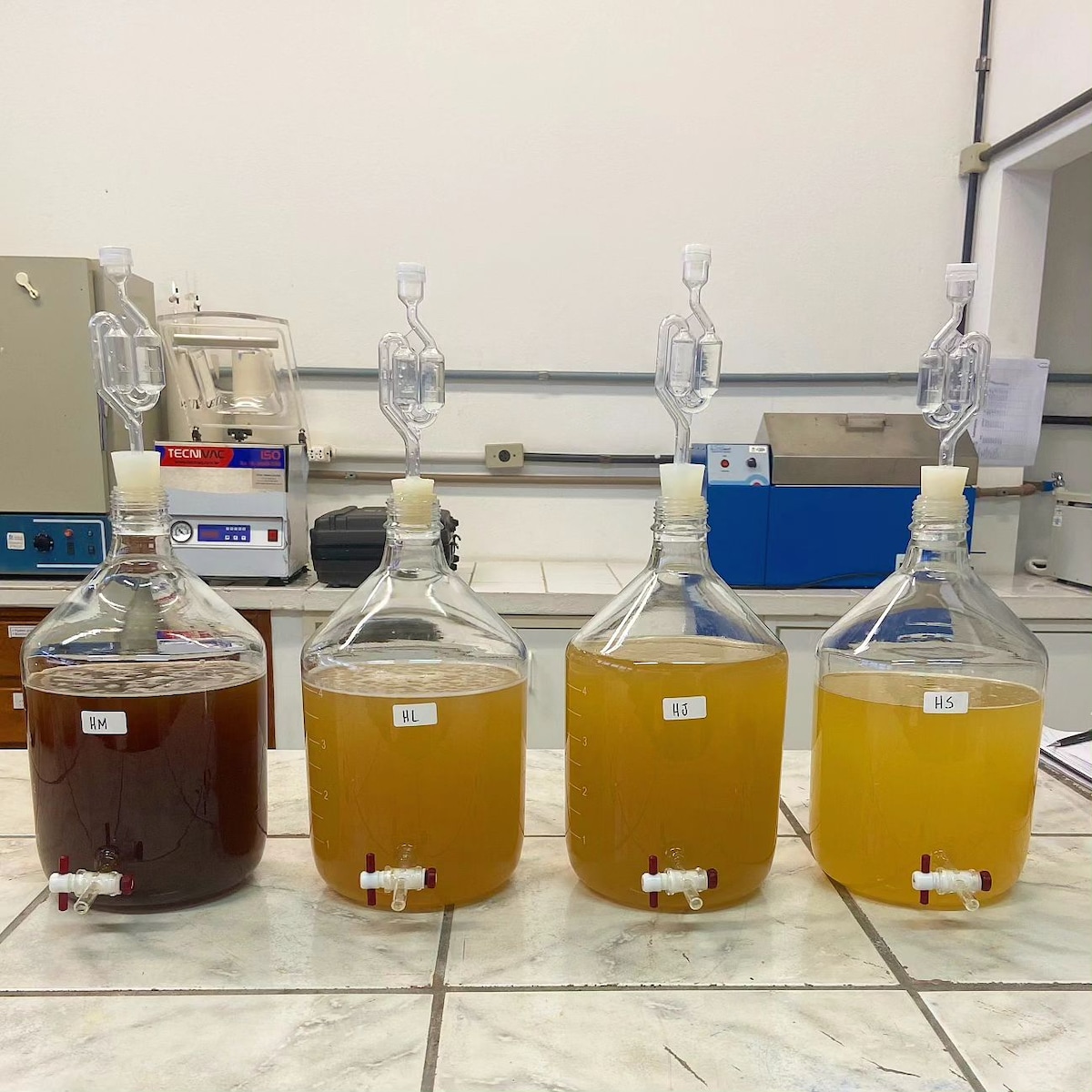 Mead Artisanal Production Course - Honey Wine