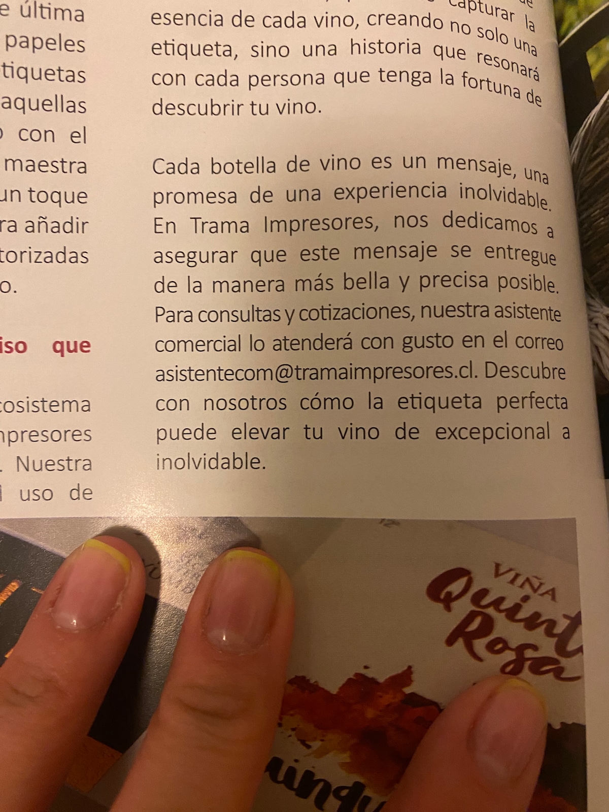 Wines, Chilean food and secrets of Concepción