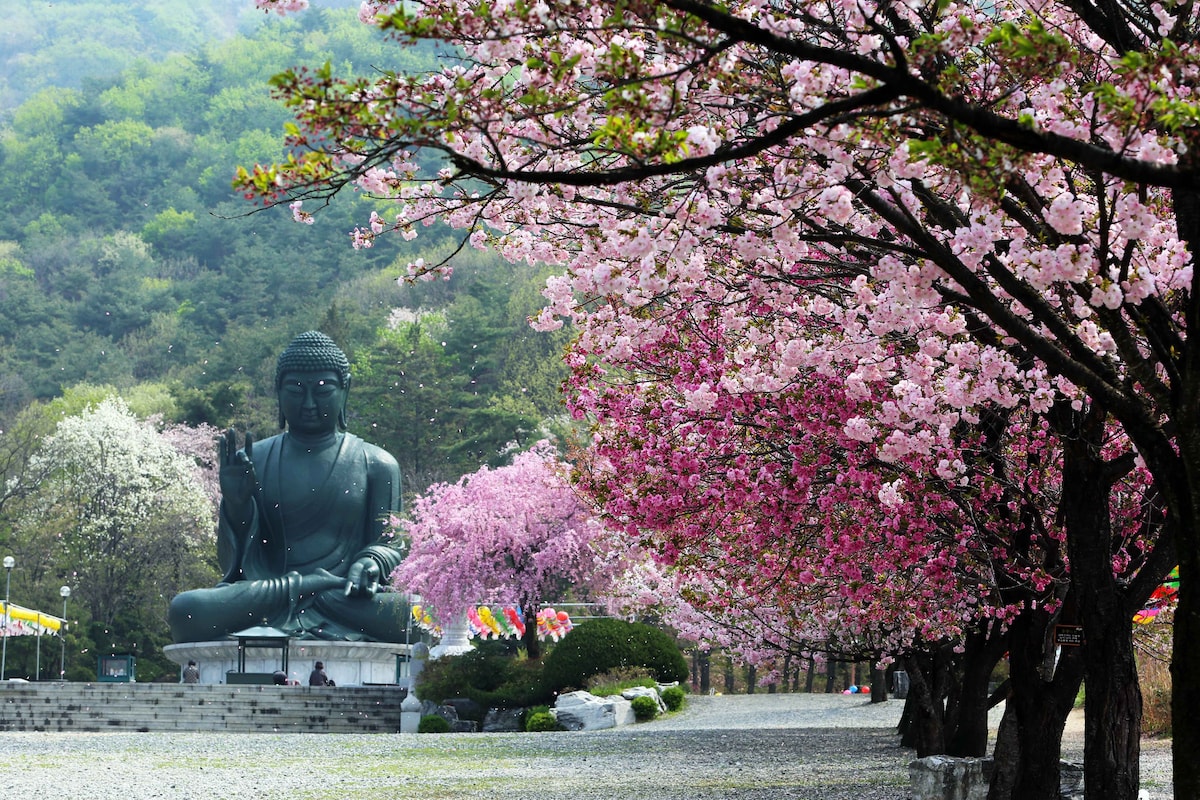 Spring Flowers Festival with Korean Culture