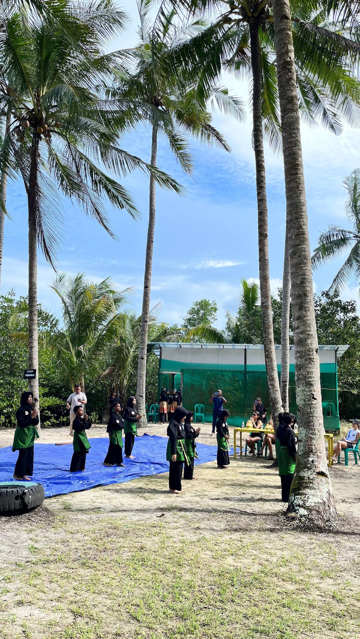 Day Trip Mangrove Planting