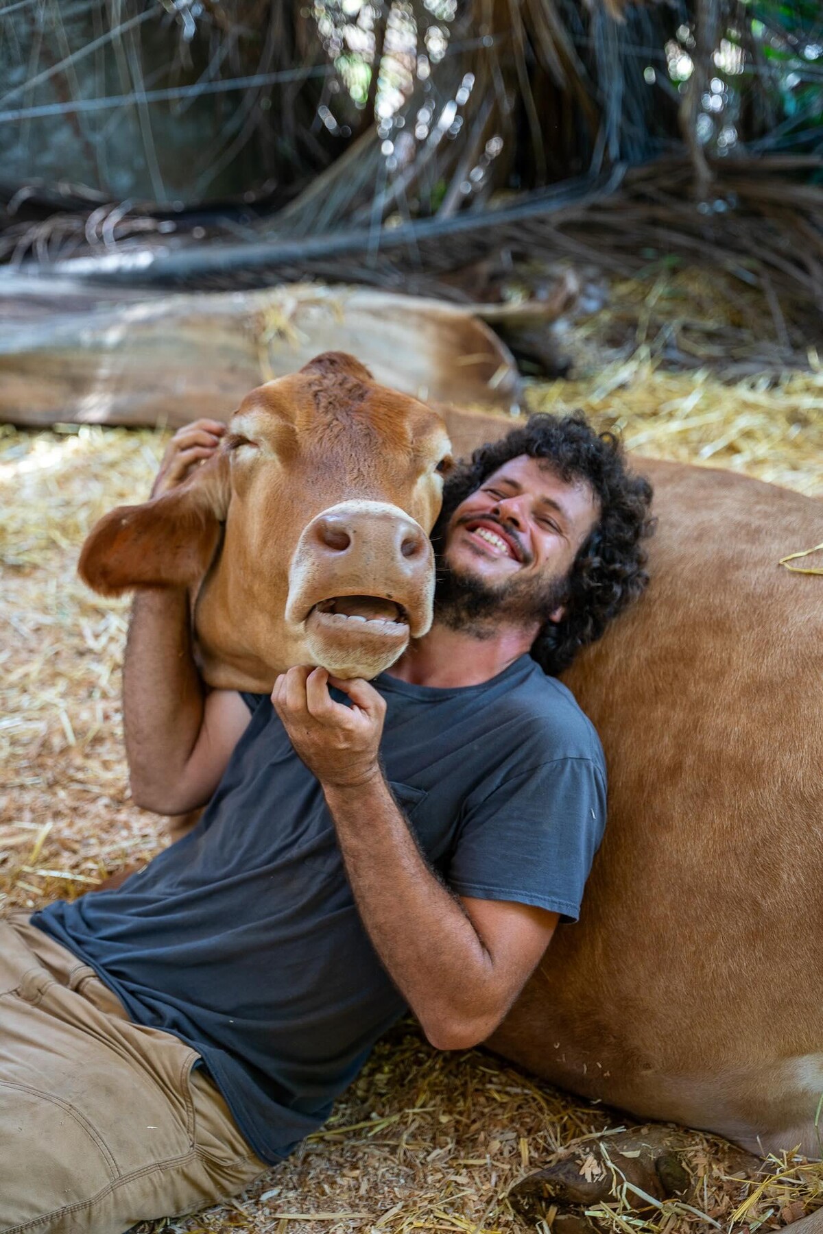 Cuddle cows in a bovine sanctuary · ★4.98