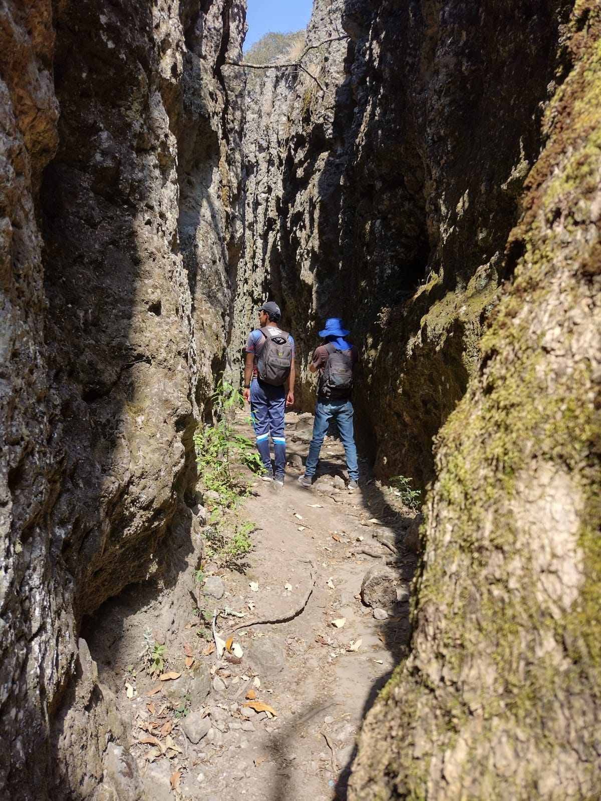 Discover a mysterious natural Labyrinth