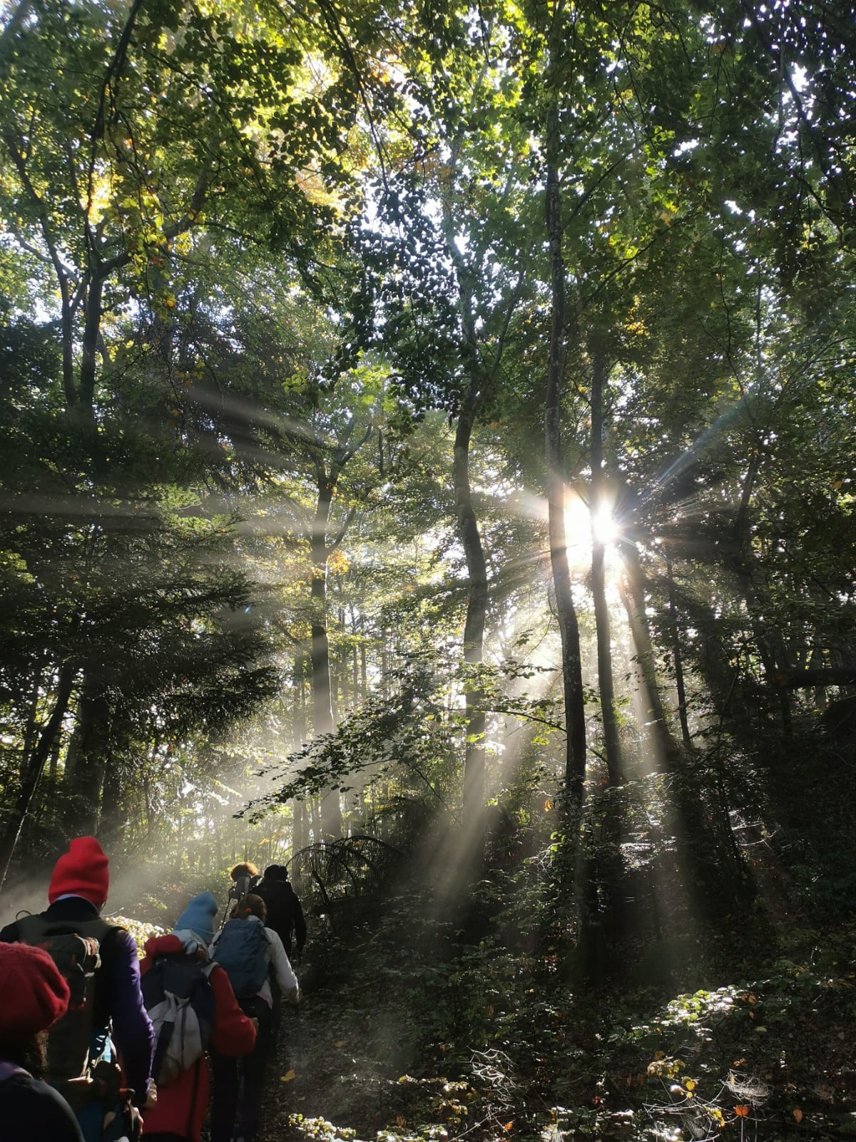 Roc des Tours: alpine exploration in lapiaz