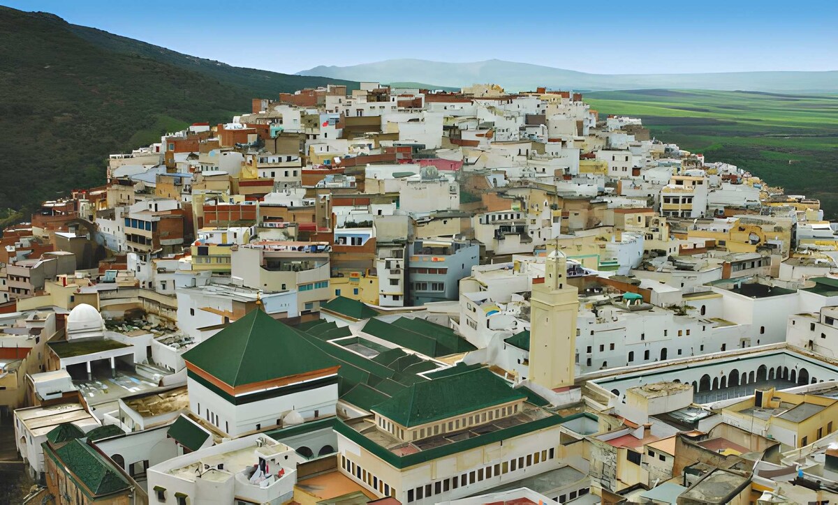 Volubilis y Meknès: excursión de un día